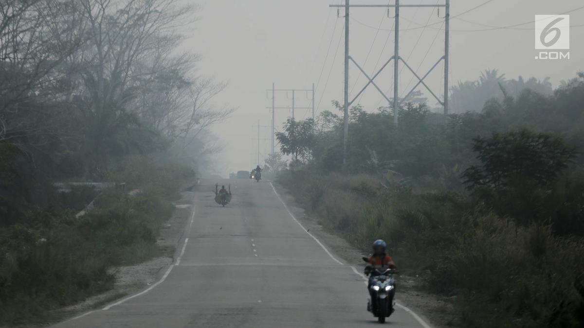 Kabut Asap Kebakaran Hutan, Kualitas Udara Riau Paling Tidak Sehat