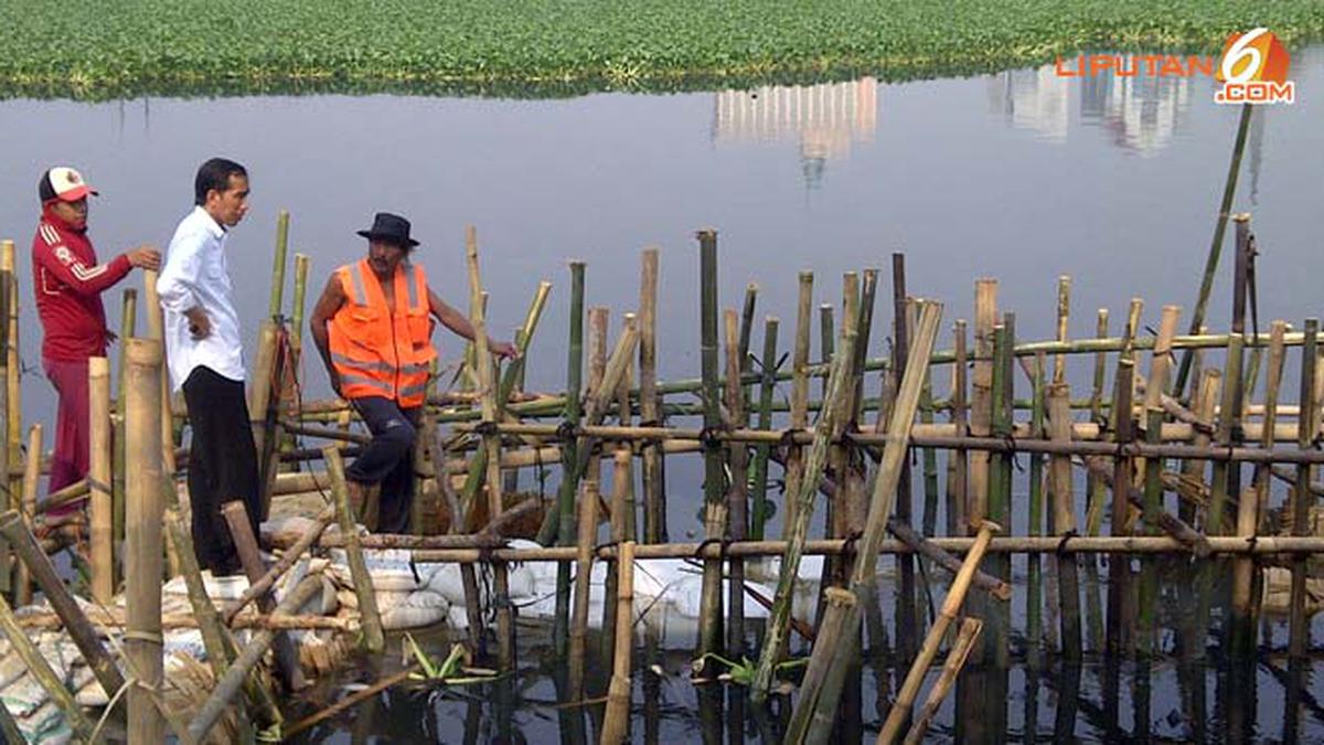Setelah Waduk Pluit, Jokowi Urus Waduk Tomang - News Liputan6.com