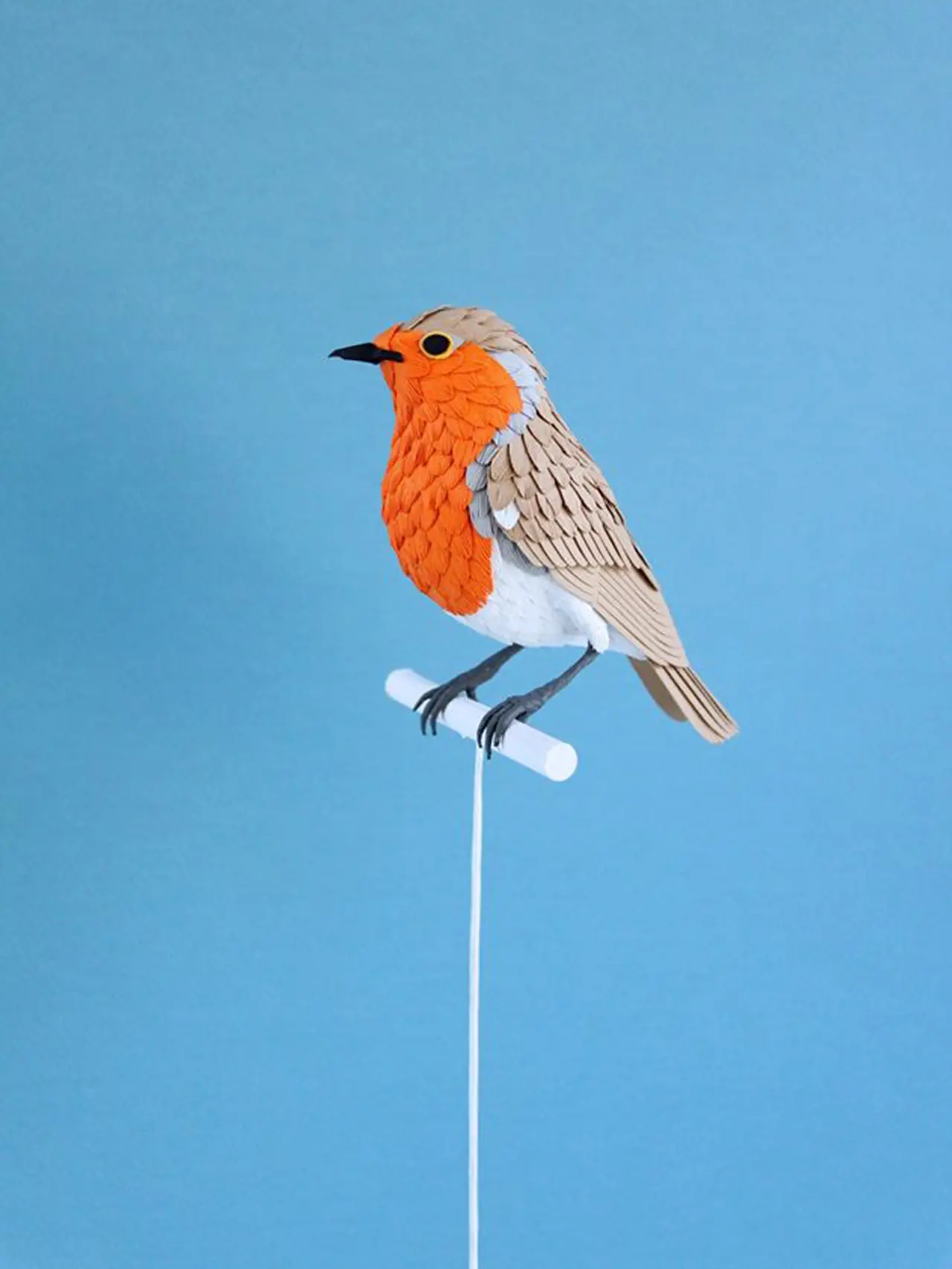 Cek Kepribadian, Ini Kata Burung Bulan Kelahiran Anda - Citizen6 ...