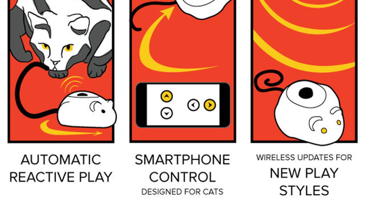 Robot Tikus Ini Siap Hibur Kucing Peliharaan Anda - Tekno Liputan6.com