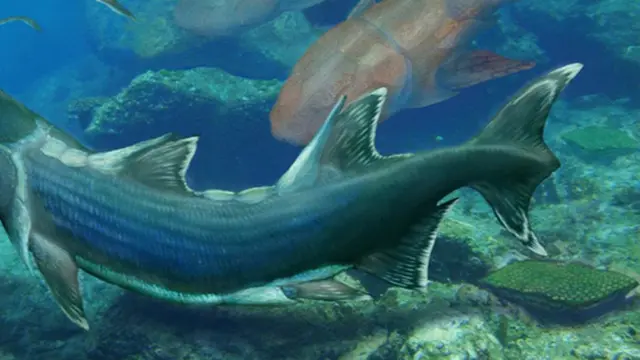 Fosil Ikan Purba Berusia 420 Juta Tahun Ditemukan di China - Global ...