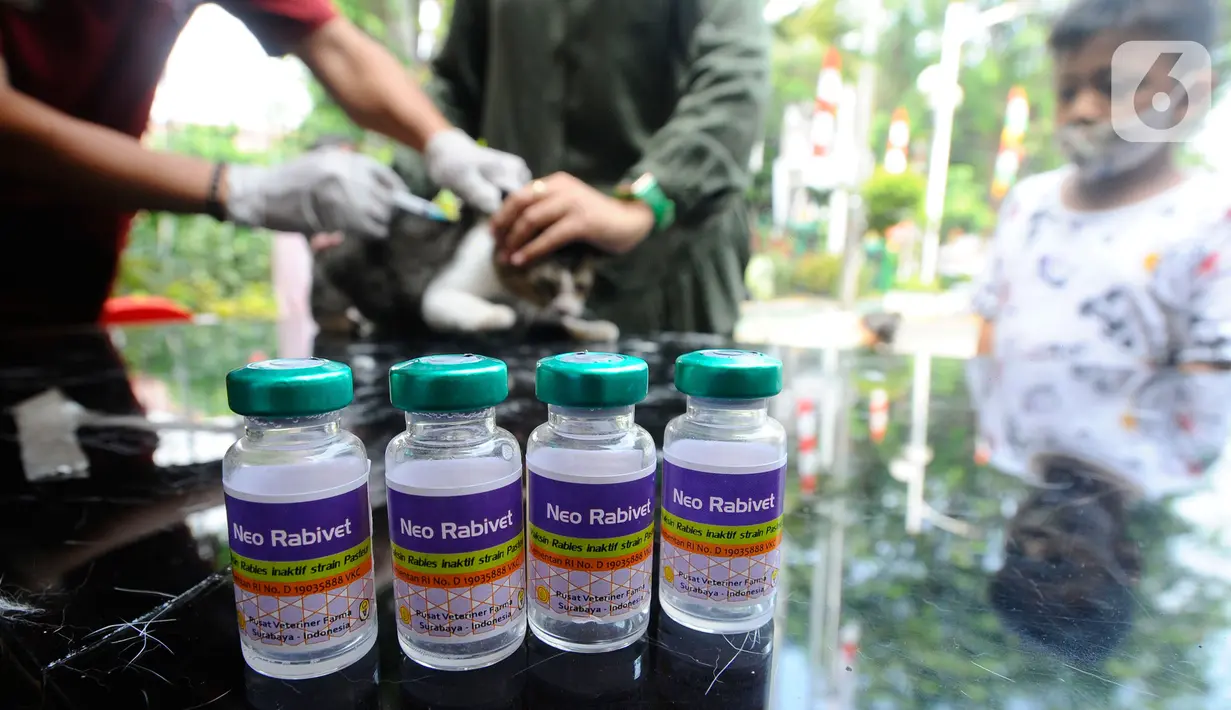 Vaksin Rabies Gratis untuk Hewan Peliharaan di Jakarta - Foto Liputan6.com