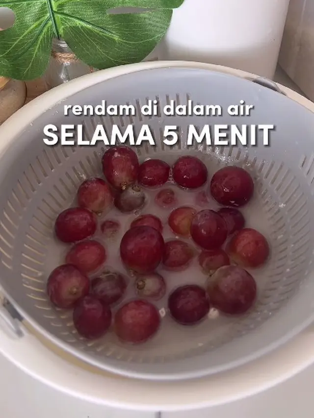 Tak Perlu Cuka, Begini Cara Membersihkan Lilin pada Anggur dengan 2 ...