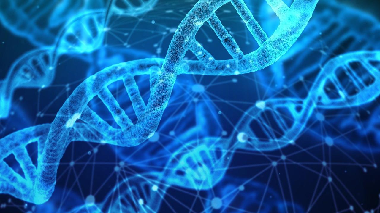 Apa Itu Tes DNA? Pahami Pengertian, Cara Kerja, Jenis dan Manfaatnya