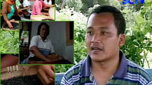 Malika, Kedelai Hitam Varietas Unggulan - News Liputan6.com