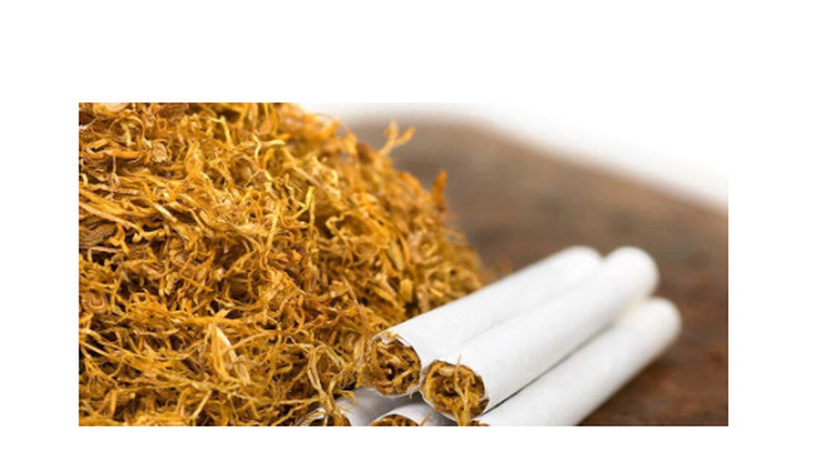 Kampanye Digital Industri Tembakau bersama EMPower Menghasilkan 155% ...