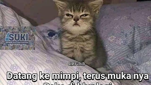 7 Meme Mimpi Kocak Enggak Masuk Akal Ini Banyak Dialami Orang - Hot ...