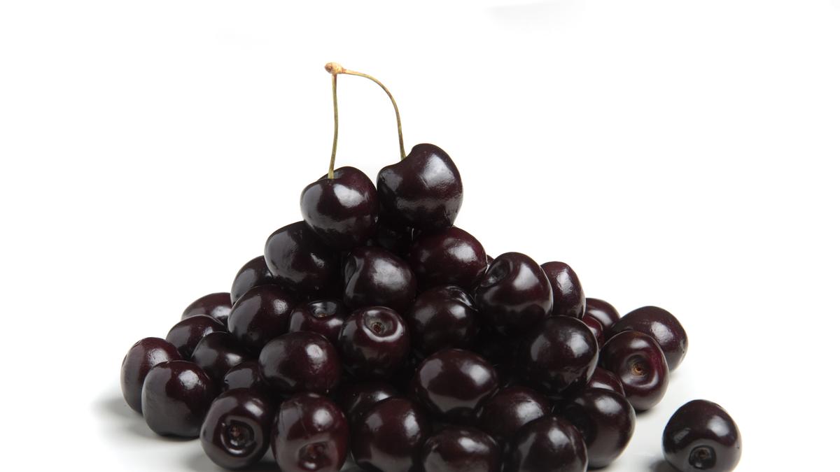 Ceri Hitam Bisa Meningkatkan Kecerdasan dan Daya Ingat, Benarkah ...