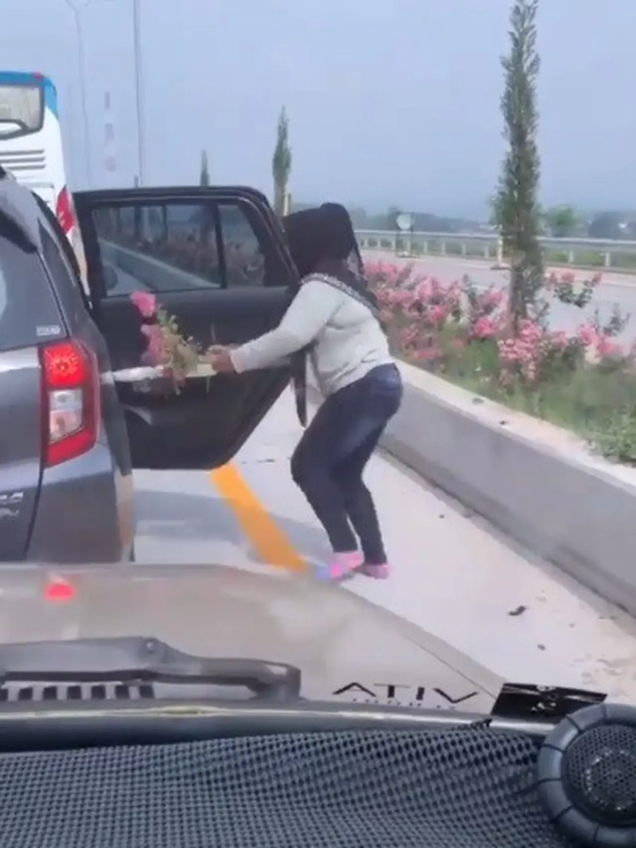 Viral Video Wanita Curi Bunga di Jalan Tol, Warganet: Malu-maluin ...