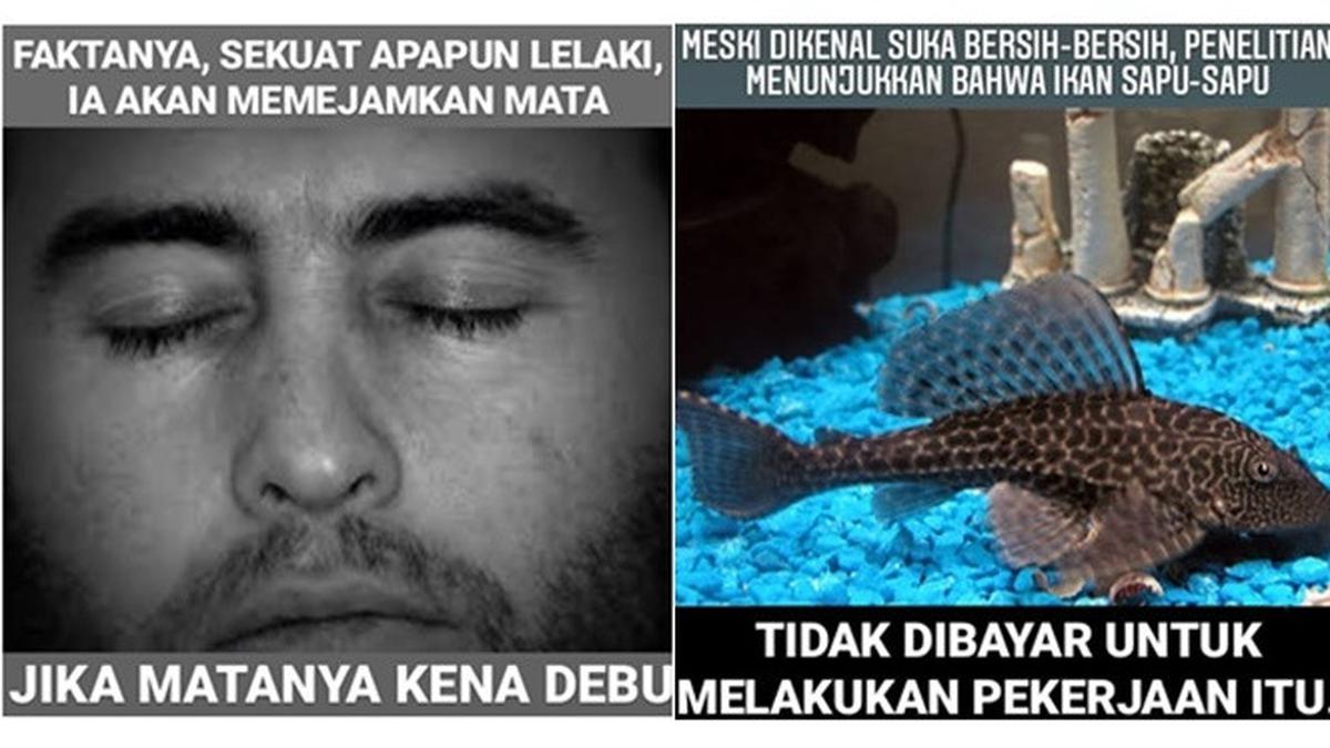 6 Meme Kocak Tentang Fakta Nyeleneh Ini Bikin Tepuk Jidat
