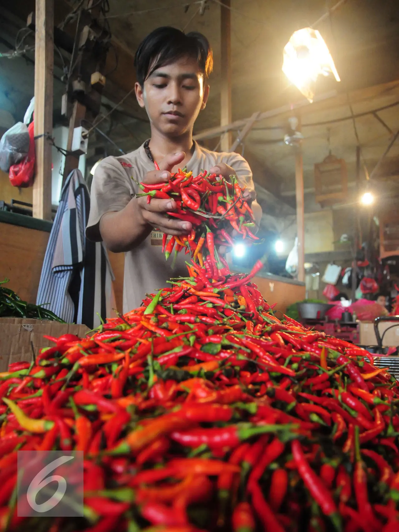 Pedagang Pasar Bantah Mendag Harga Cabai Naik Jadi Bonus Petani: Masalahnya Lebih Kompleks ...