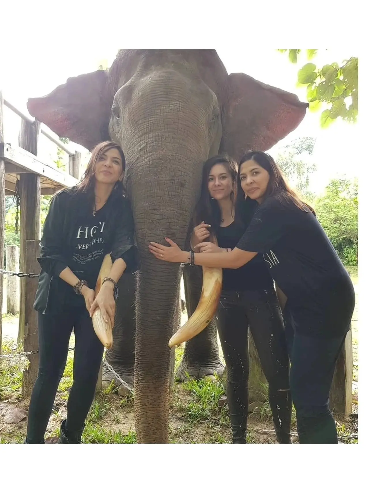 6 Potret Kenangan Wulan Guritno Bareng Gajah Rahman, Mati Diracun dan ...