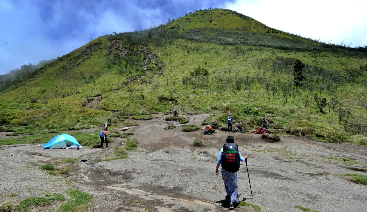 FOTO: Libur Imlek Dimanfaatkan Warga Mendaki Merbabu - Foto Liputan6.com