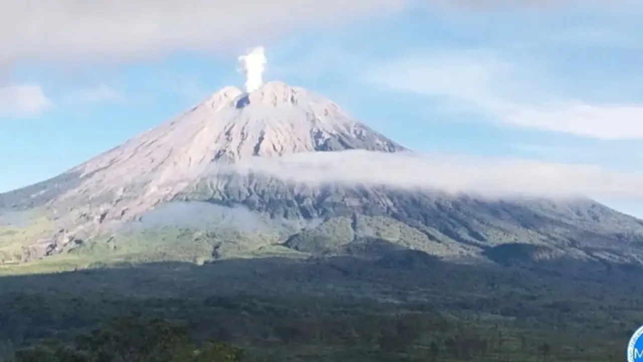 Gunung Semeru Erupsi Beberapa Kali, Tinggi Letusan Capai 800 Meter - Regional Liputan6.com