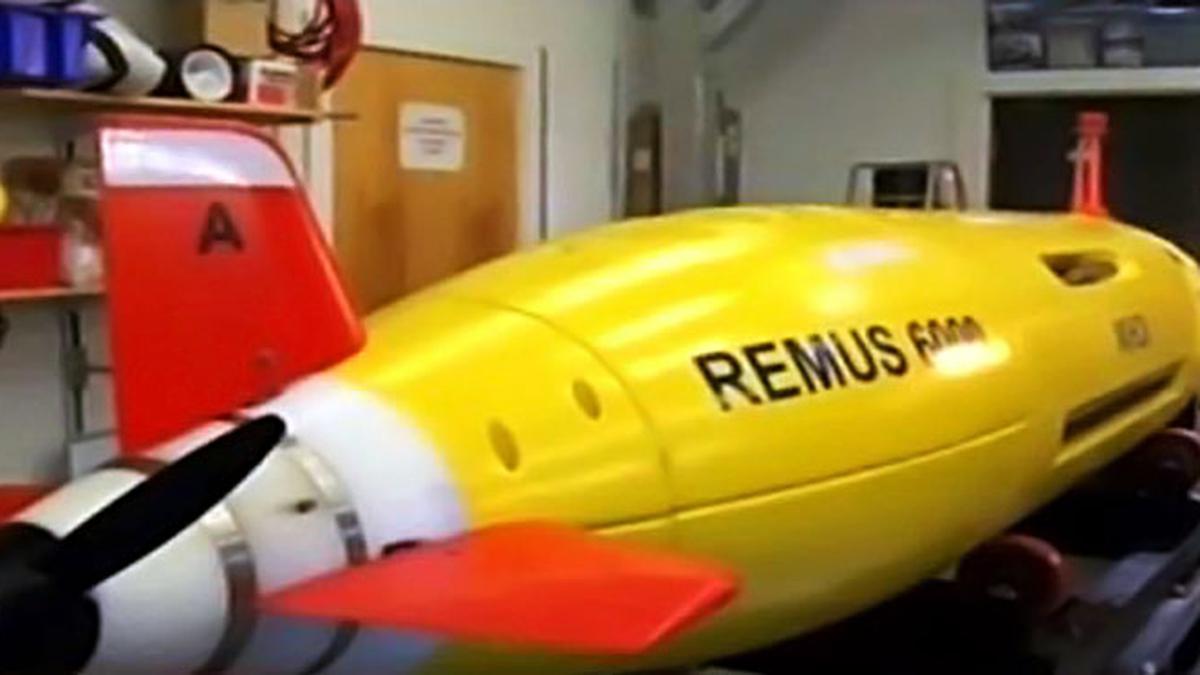 Remus Ikut Bantu Cari Puing Pesawat MH370 - Global Liputan6.com