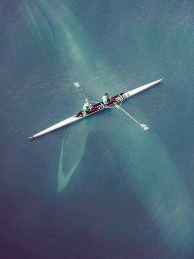 Kenali Thalassophobia, Ketakutan Berlebihan Terhadap Lautan - Jateng ...