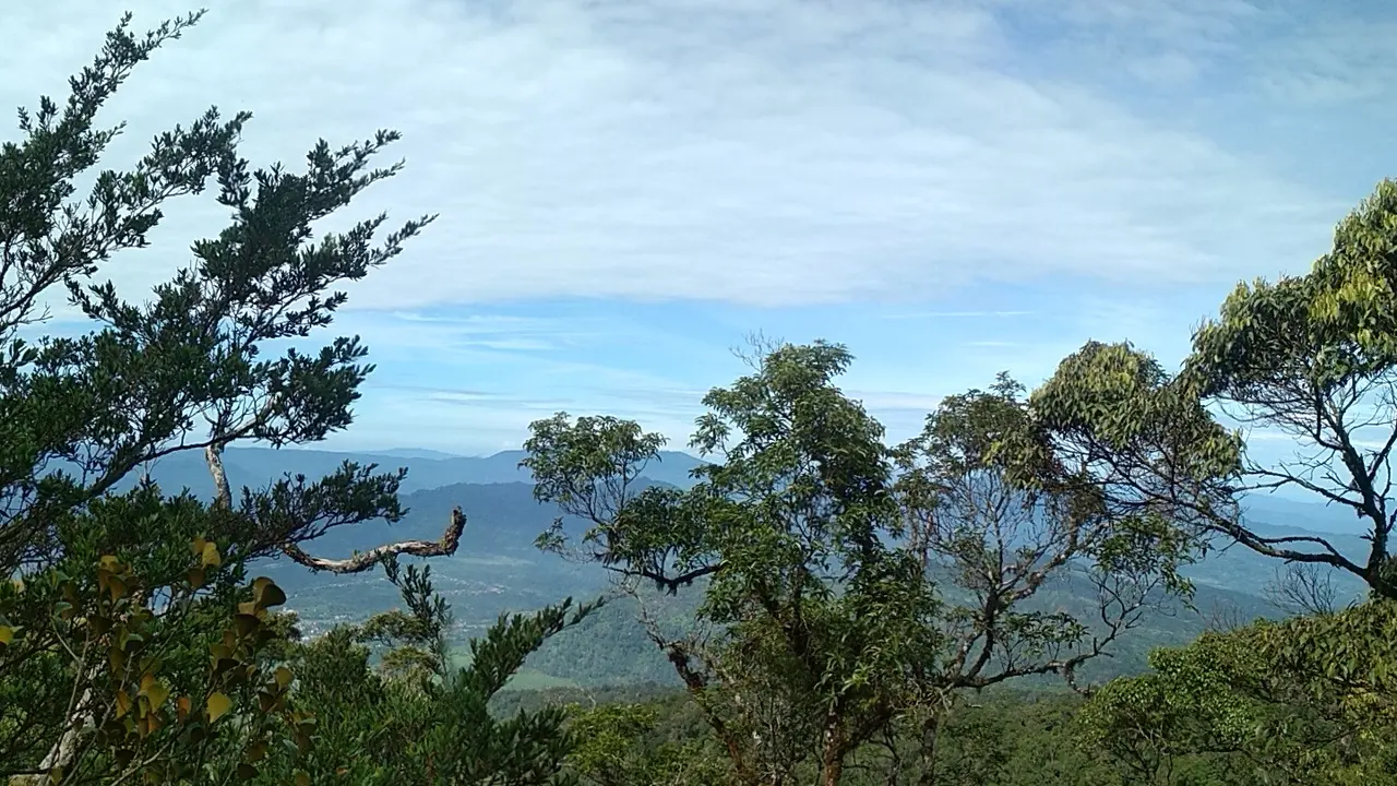 6 Fakta Menarik Gunung Tangkit Tebak yang Dijuluki Gunung Raung-nya ...