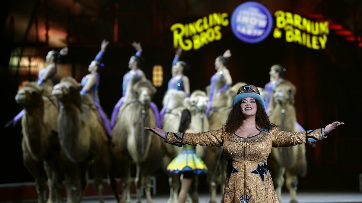 Berita Ringling Bros Hari Ini - Kabar Terbaru Terkini | Liputan6.com