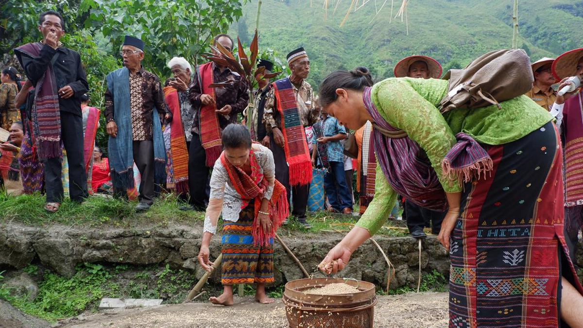 Melestarikan Tradisi Manobur Bonih yang Sempat Hilang di Desa Sigapiton ...
