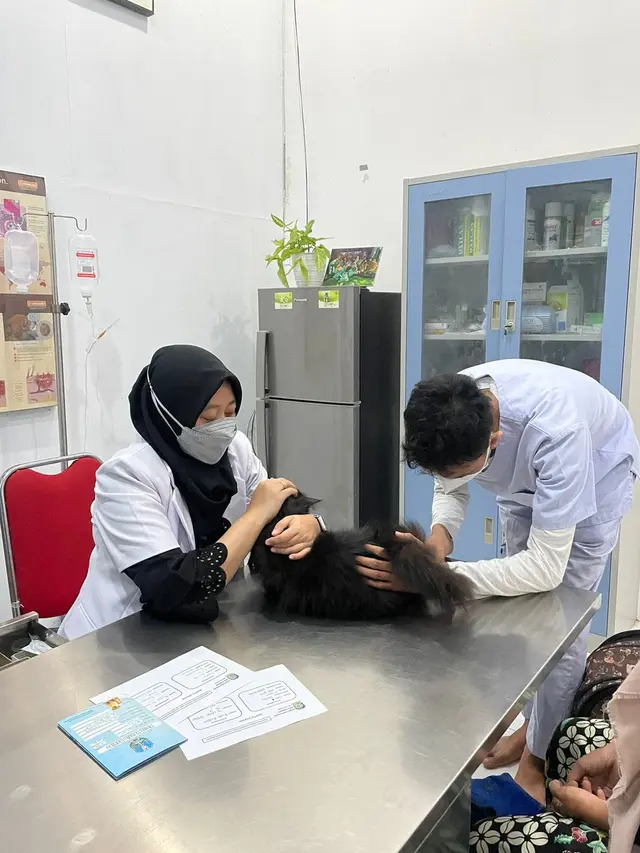 Cegah Penyebaran Rabies, Pemkab Banyuwangi Gelar Vaksinasi Rabies ...