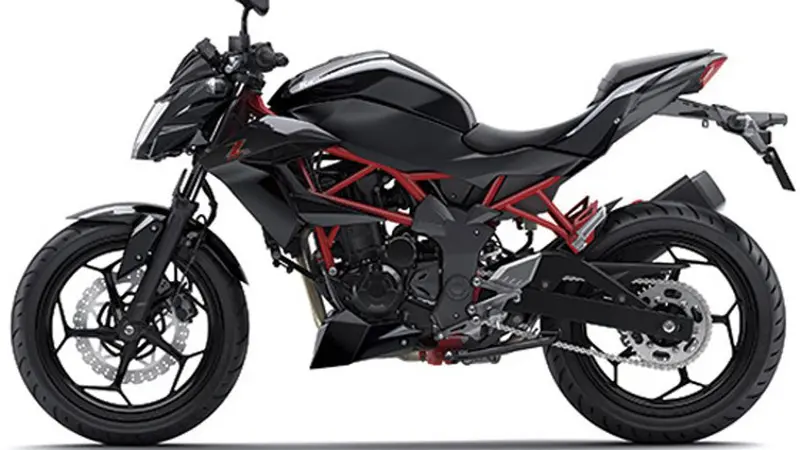 Kawasaki Z250sl Modifikasi