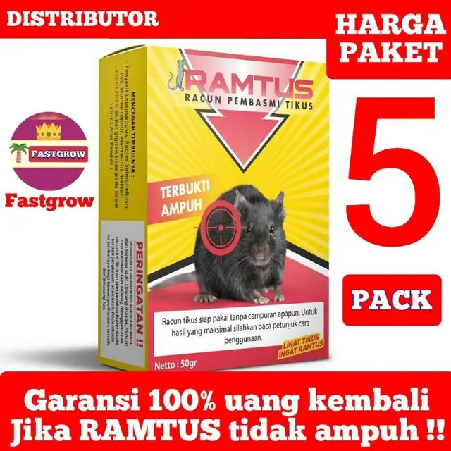 5 Rekomendasi Racun Tikus Paling Ampuh, Efektif dengan Harga Ramah ...
