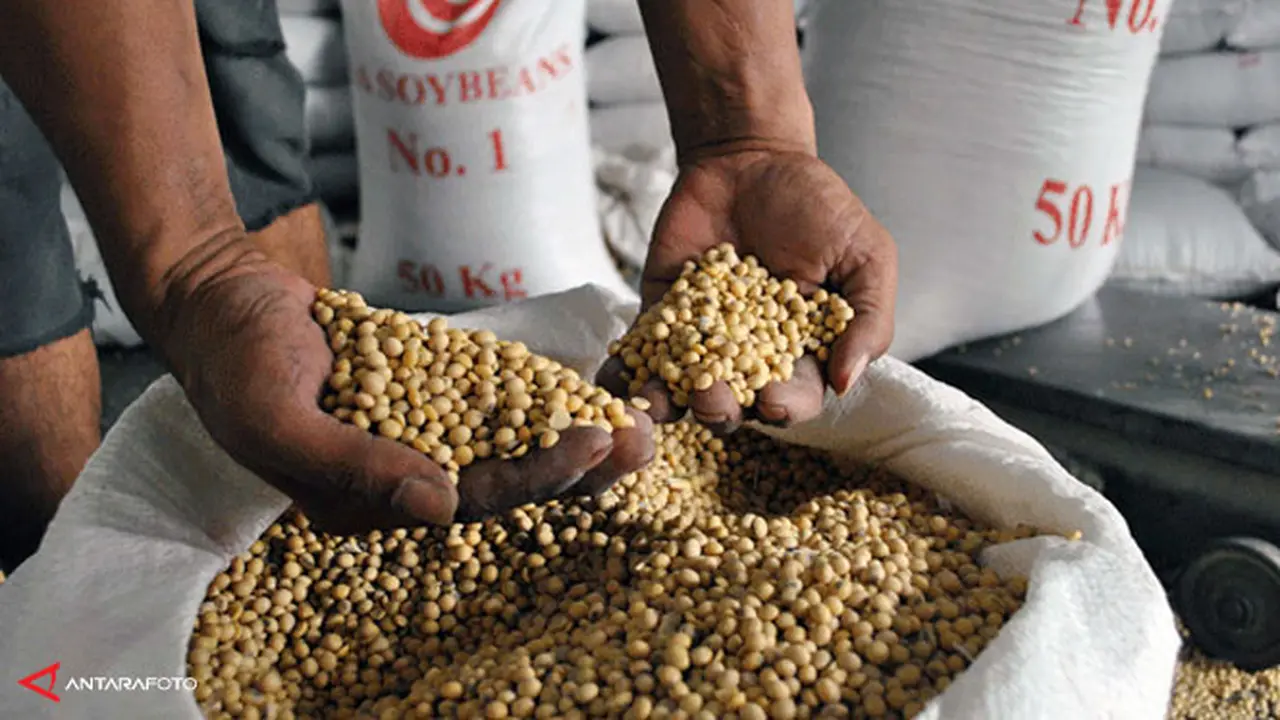 Bulog Jangan Biarkan Kedelai Bergerak Liar - Bisnis Liputan6.com
