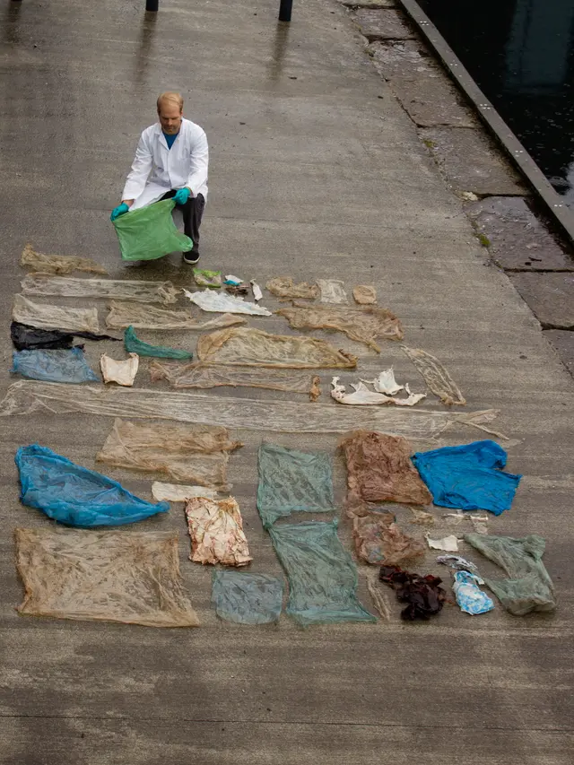 30 Kantong Plastik Ditemukan di Perut Paus Ini - Global Liputan6.com