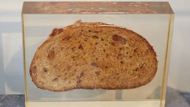 Ini Dia Kornet Sapi Pertama di Luar Angkasa - Lifestyle Liputan6.com