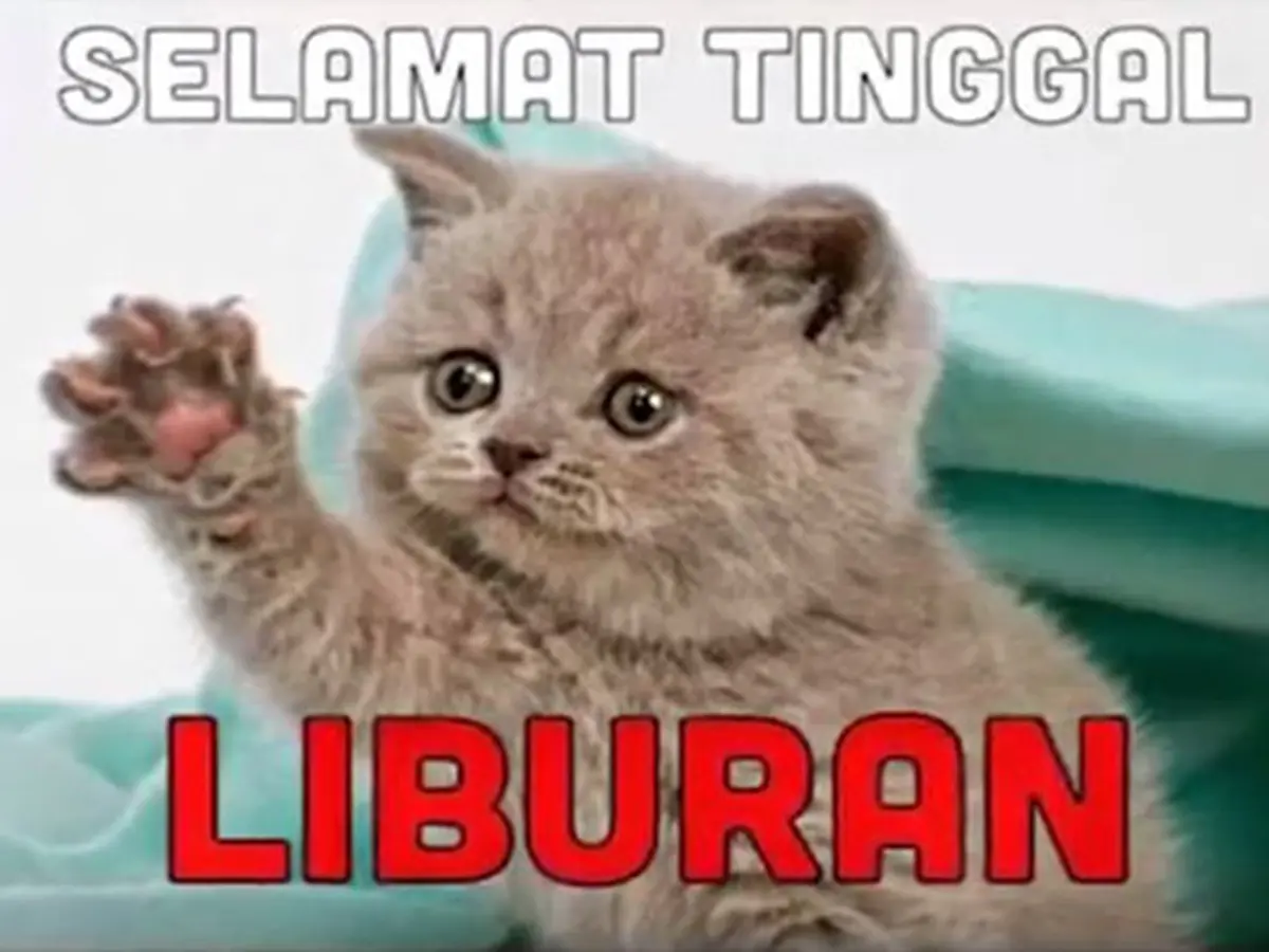 Memes Cuti Lebaran 5 Meme Kocak Libur Lebaran Telah Usai, Lucu Tapi