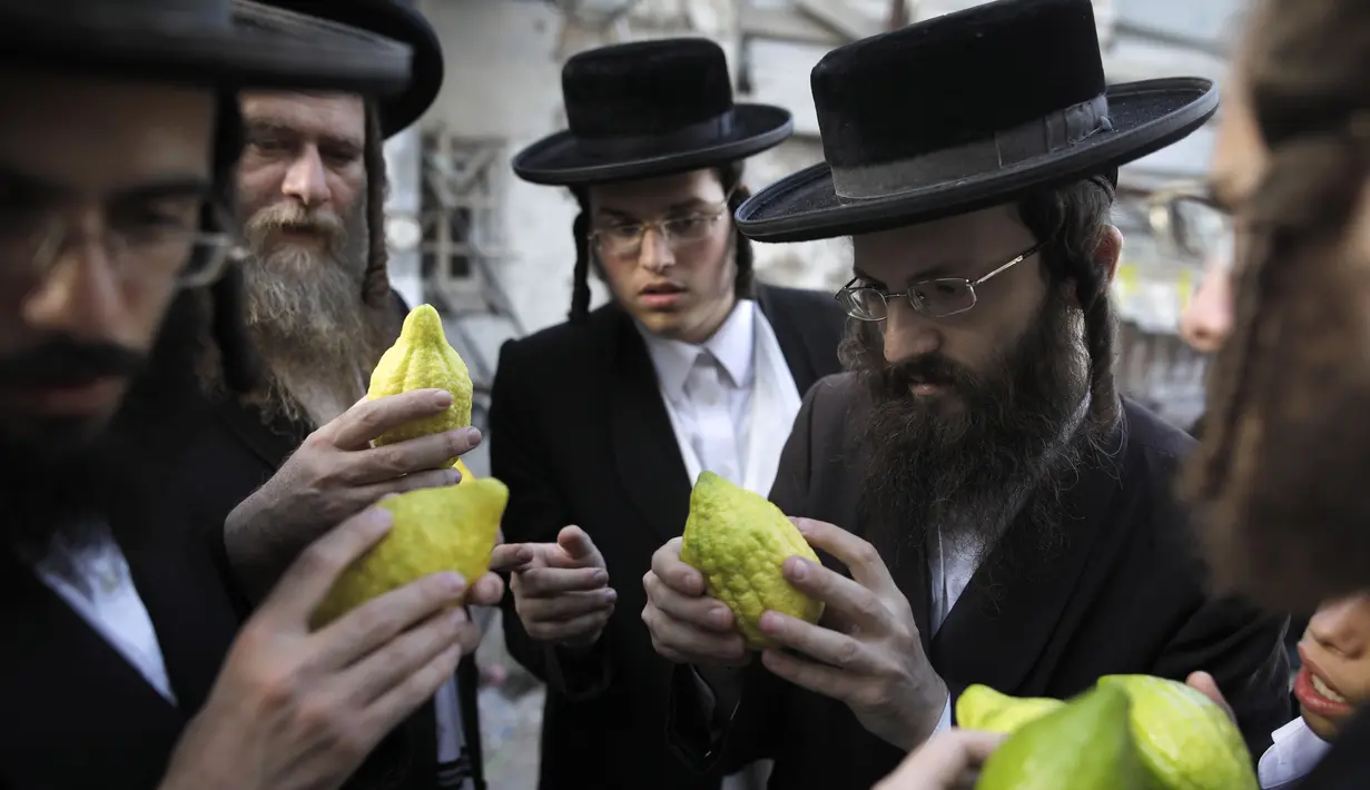 PHOTO: Persiapan Warga Yahudi Sambut Perayaan Hari Sukkot - Foto ...
