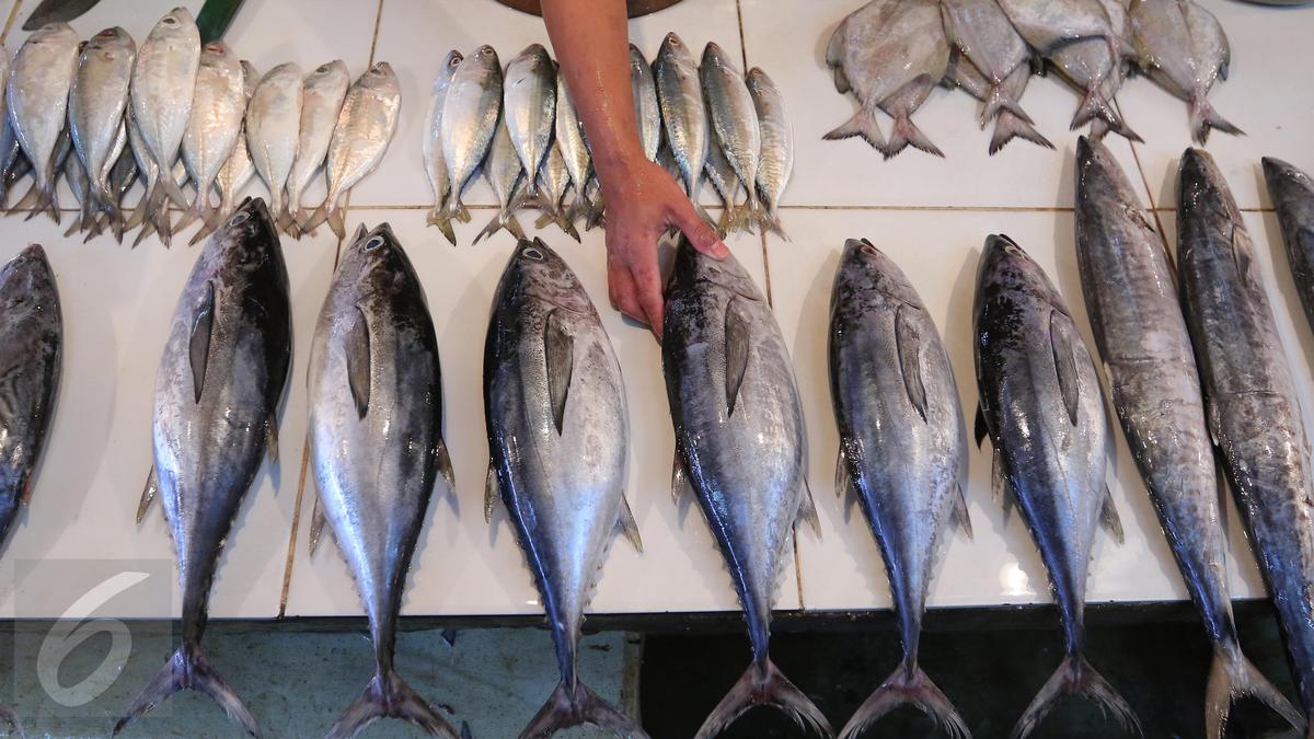 6 Ikan di Indonesia Ini Aman Dikonsumsi - Citizen6 Liputan6.com