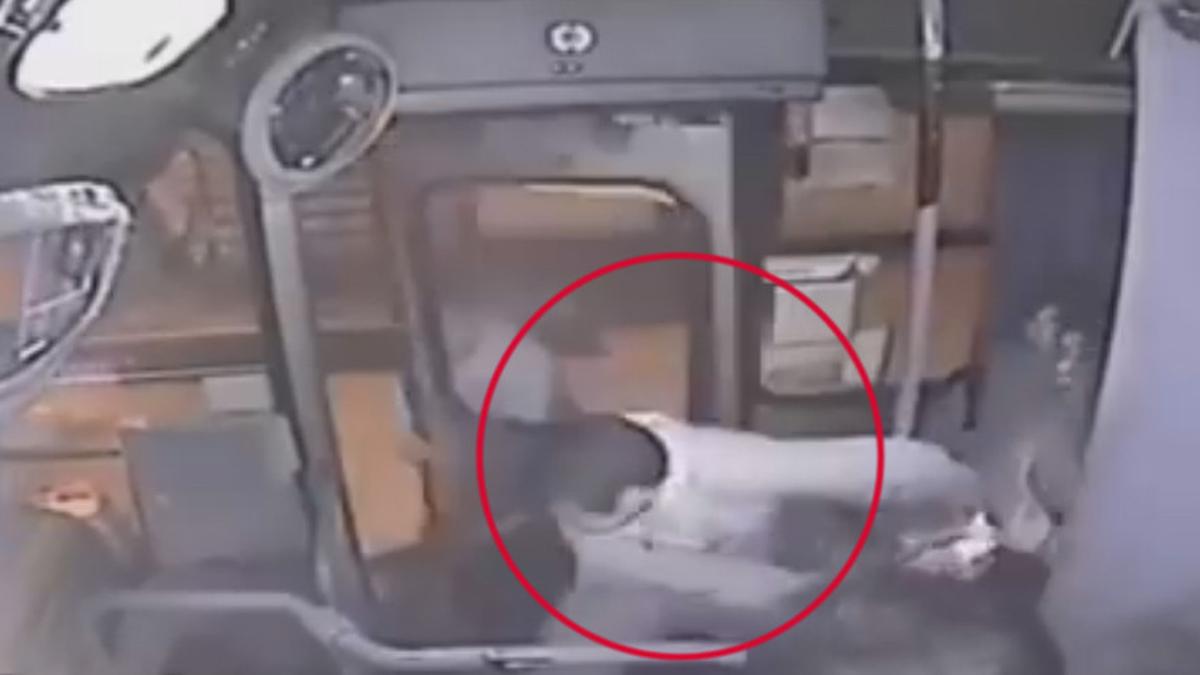 Hendak Beraksi di Bus, 