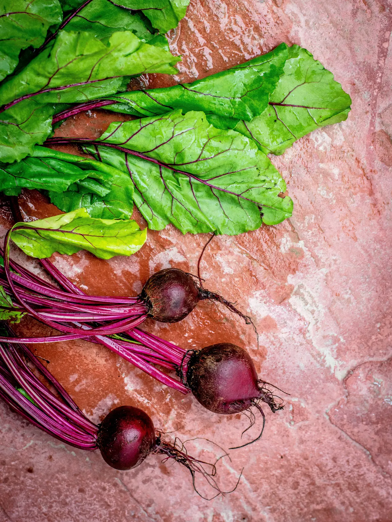 Manfaat Jus Buah Bit, Bantu Normalkan Tekanan Darah Tinggi Dalam 4 ...