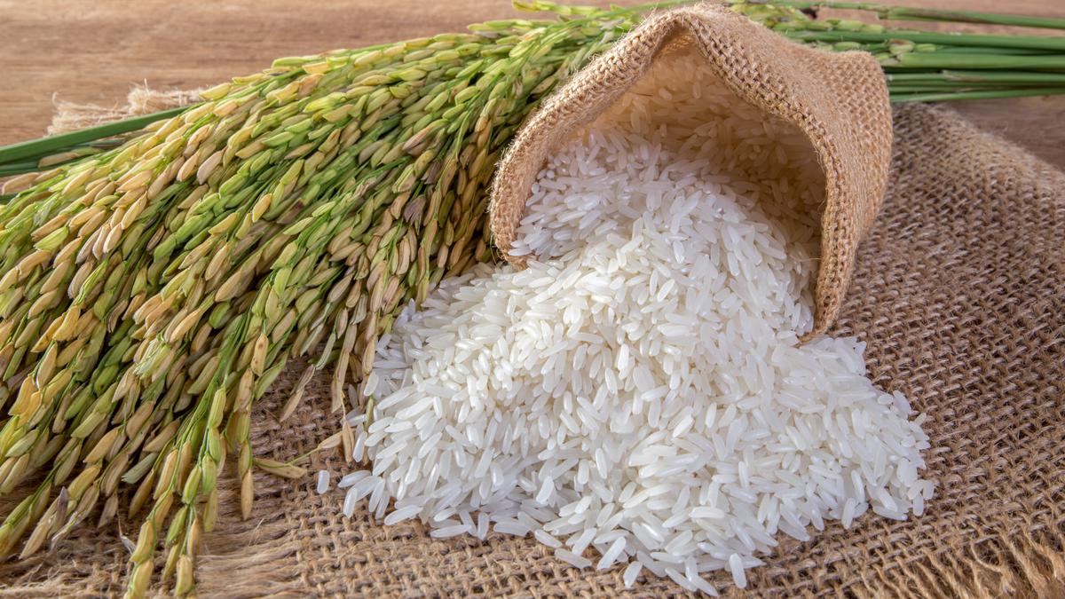 7 Olahan Makanan Lezat dari Beras Bisa Sebagai Pengganti Nasi ...