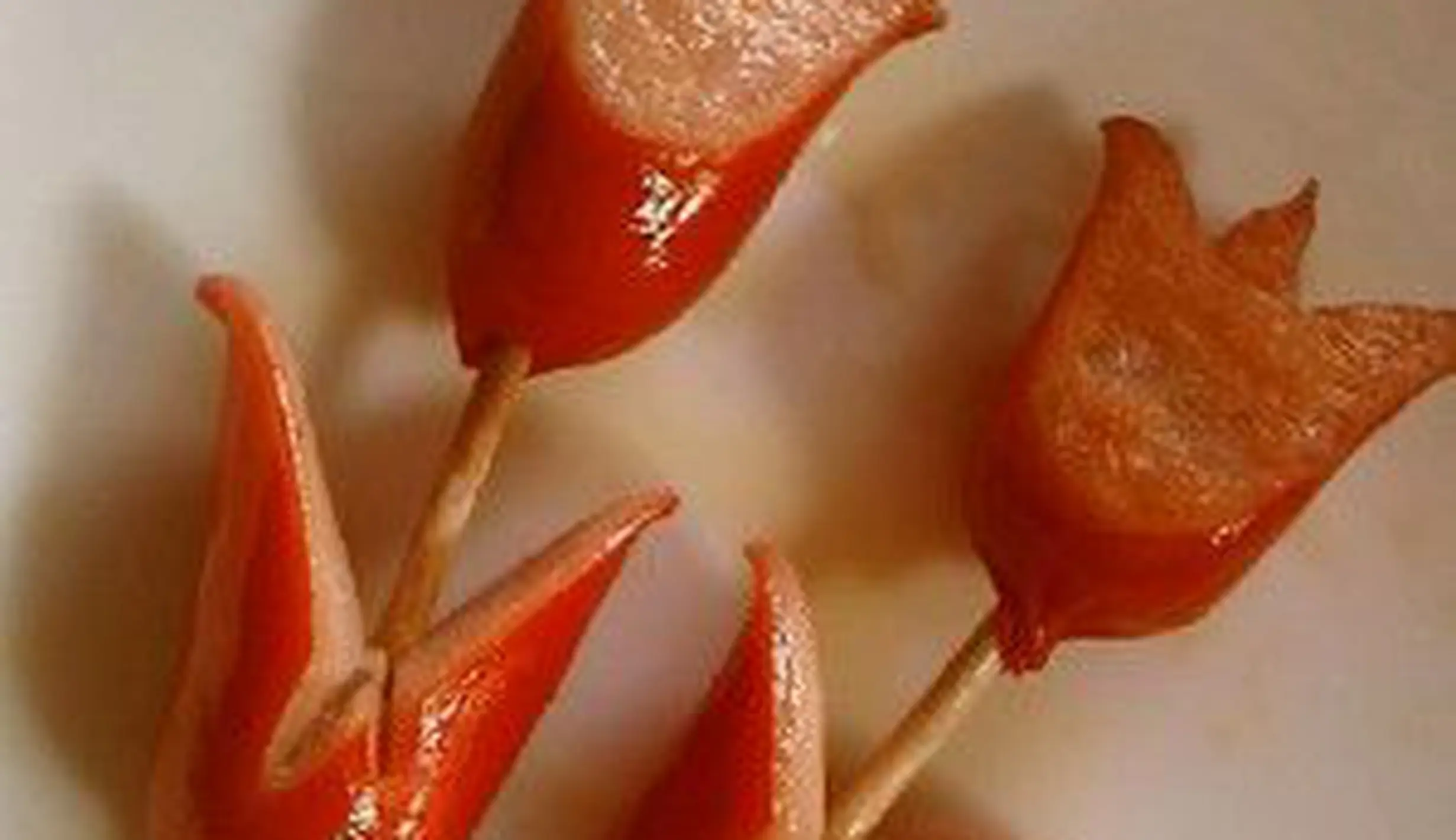 10 Ide Kreasi Food Art Sosis yang Bisa Dibuat Anak-Anak - Photo Fimela.com