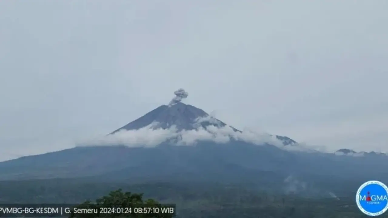 Gunung Semeru Kembali Erupsi, Tinggi Kolom Letusan Capai 1,3 Kilometer - Surabaya Liputan6.com
