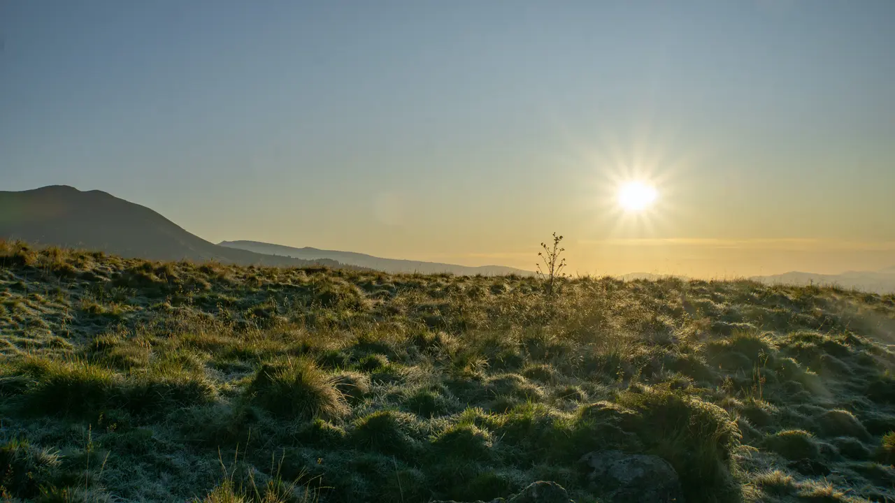 16 Contoh Pantun Selamat Pagi, Bangkitkan Semangat dan Penuh Motivasi ...