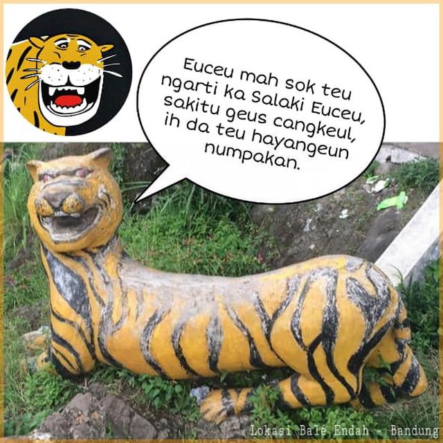 10 Macan Lucu dengan Bentuk Kocak, Unik Menghibur Hati - Hot Liputan6.com