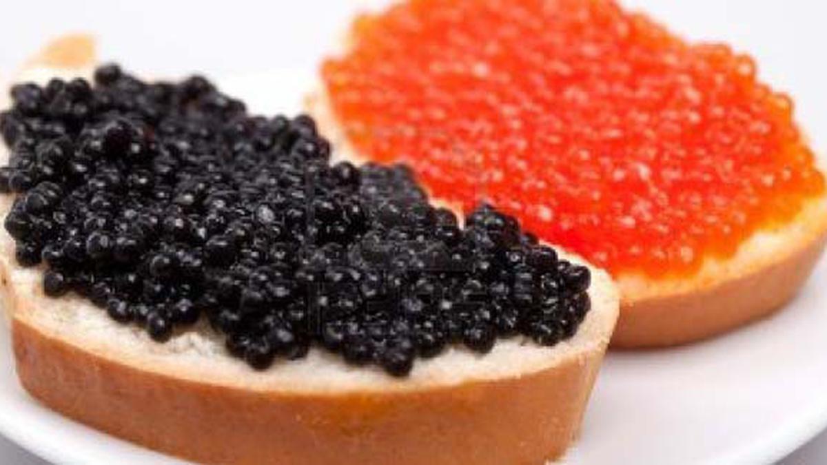 Aneka Macam Pengolahan dan Varietas Caviar (I)