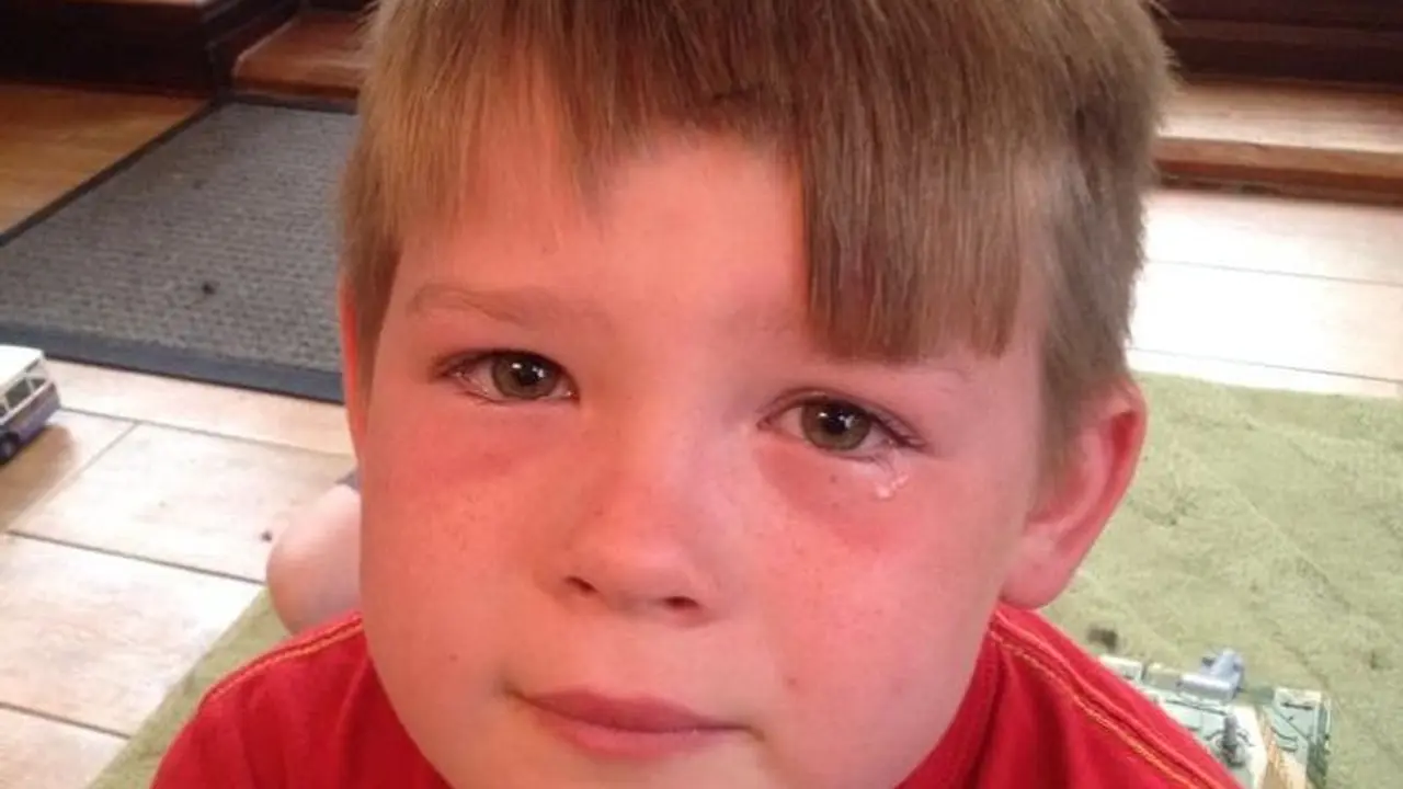 6 Momen Lucu Salah Potong Rambut Ini Bikin Elus Dada - Hot Liputan6.com