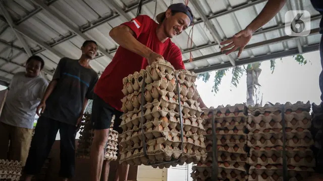 Harga Telur Bikin Geleng-geleng, Sudah Tembus Rp 31 Ribu per Kg - Bisnis Liputan6.com