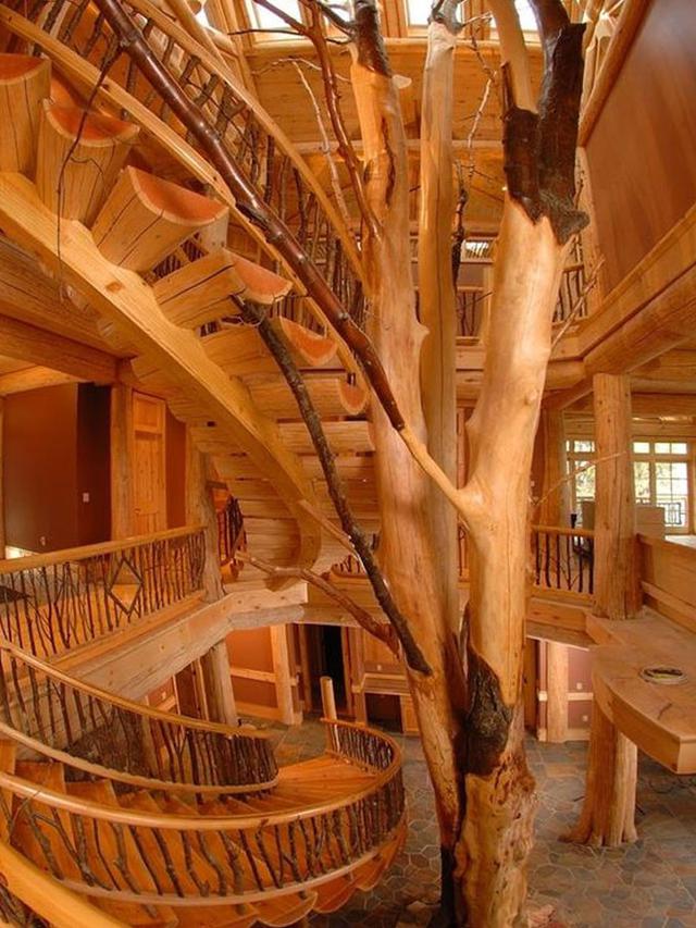 6 Potret Rumah dari Kayu Ini Detailnya Sempurna, Seratnya Jadi Bikin ...