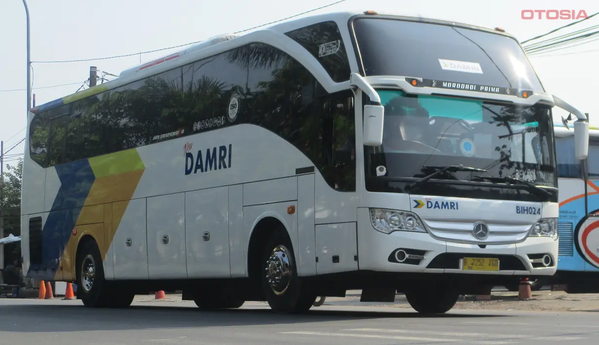 10 Potret Bus Antar Kota Dengan Livery yang Sederhana, Terlihat Elegan ...