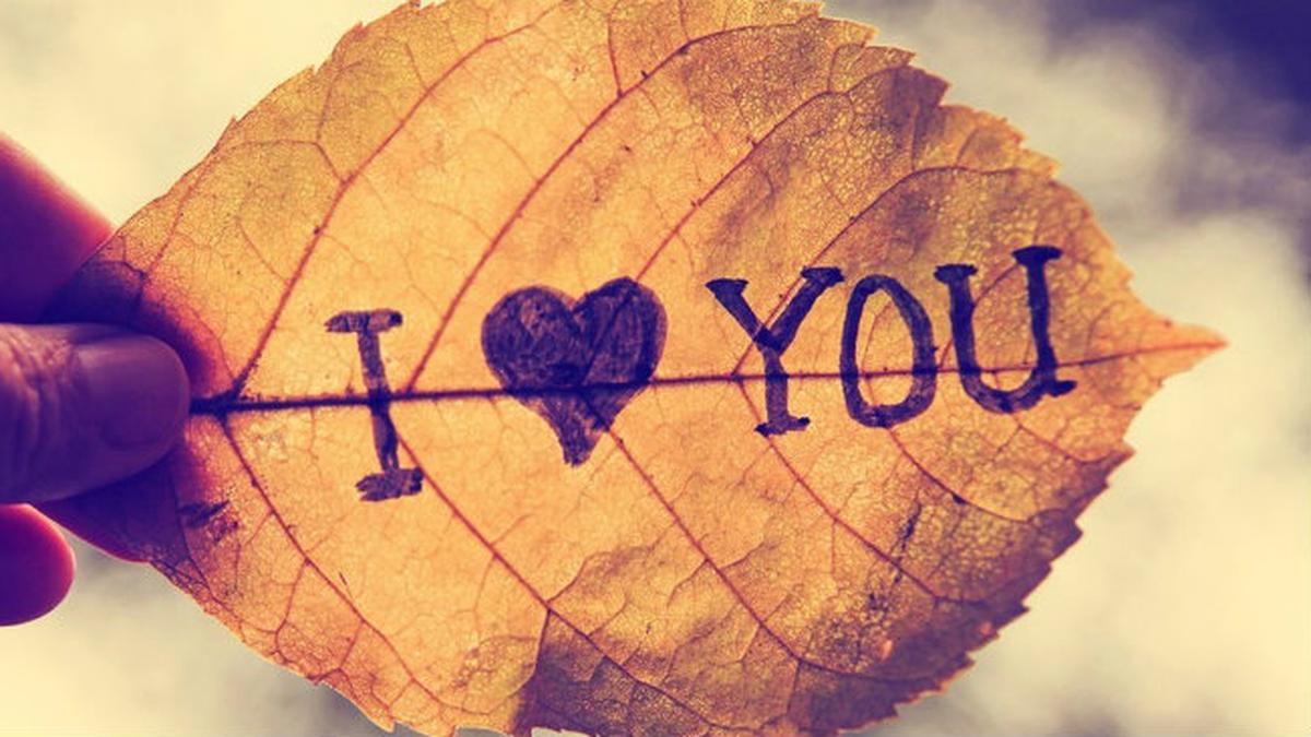 Penting, Berikut 6 Kalimat yang Lebih Penting dari 'I Love You ...