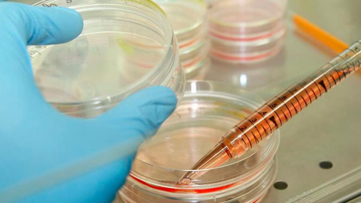 Terapi Sel Punca Dapat Atasi Kemandulan - Health Liputan6.com