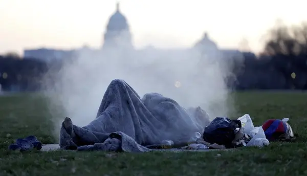 Fakta-Fakta Moose, Rusa Terbesar di Dunia - Global Liputan6.com