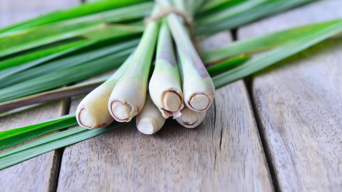 Ini Fungsi dan Manfaat Serai dalam Berbagai Masakan - Lifestyle Fimela.com