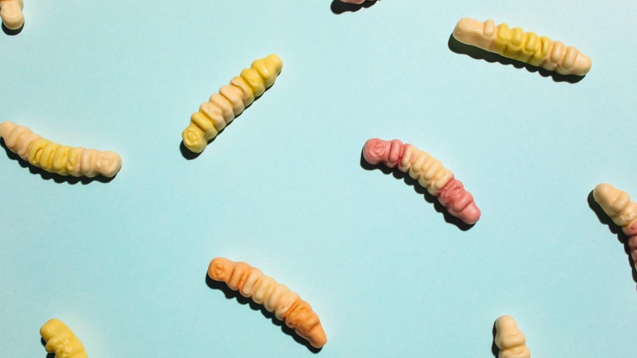 Larva Adalah Serangga yang Berkembangnya Melalui Metamorfosis, Ketahui ...