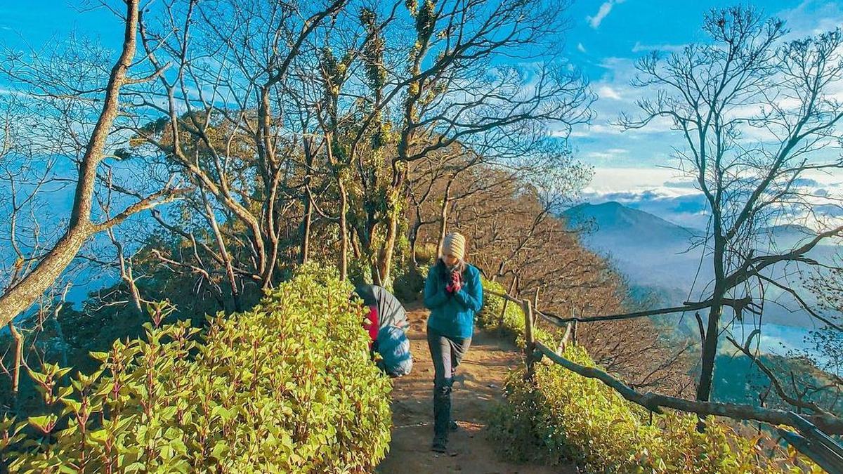 6 Fakta Menarik Gunung Sagara di Garut yang Cocok untuk Pendaki Pemula